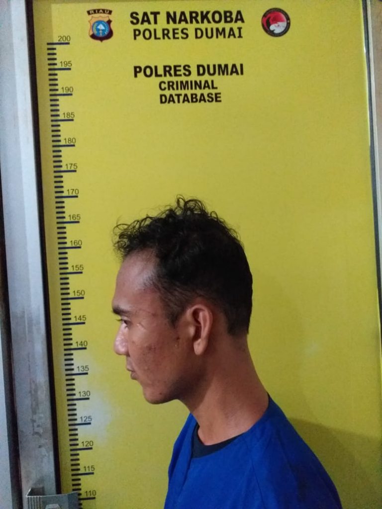 Tim Opsnal Sat Res Narkoba Polres Dumai Kembali Berhasil Membekuk